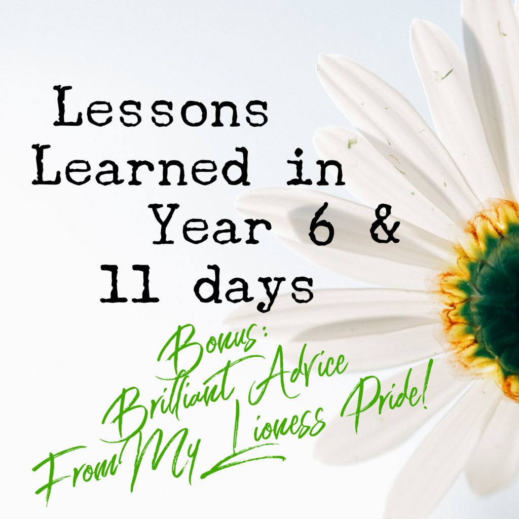 Lessons Learned In Year 6 + 11 Days! - Debra Trappen